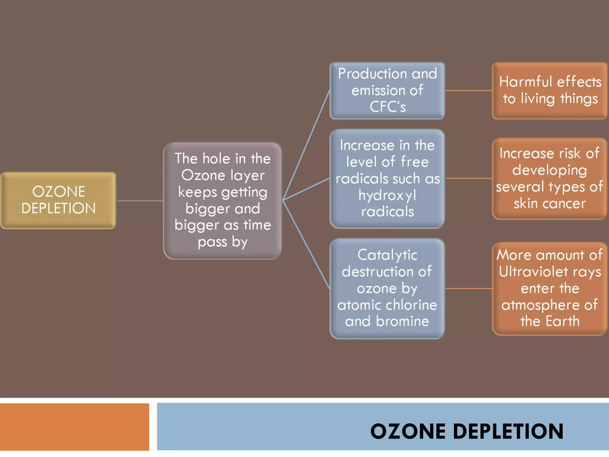 Top 5 environmental problems | PPT