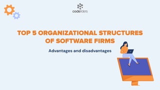 Top 5 Organizational Structures of Software Firms | PDF