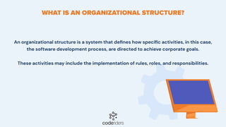 Top 5 Organizational Structures of Software Firms | PDF