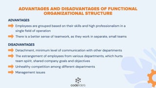 Top 5 Organizational Structures of Software Firms | PDF