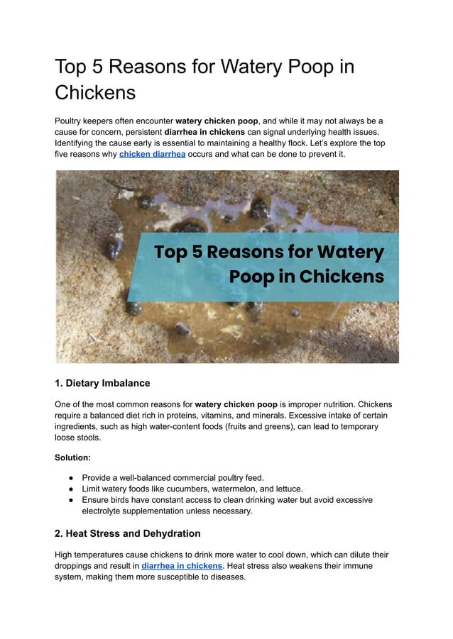 Top 5 Reasons for Watery Poop in Chickens | PDF