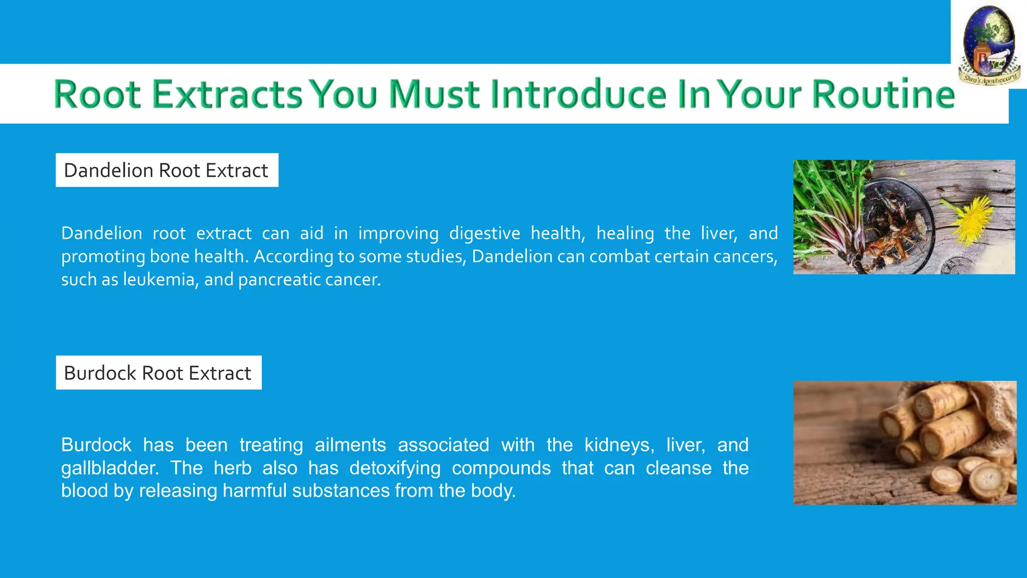 Top 5 Root Extracts The Key to Natural Wellness | PPT