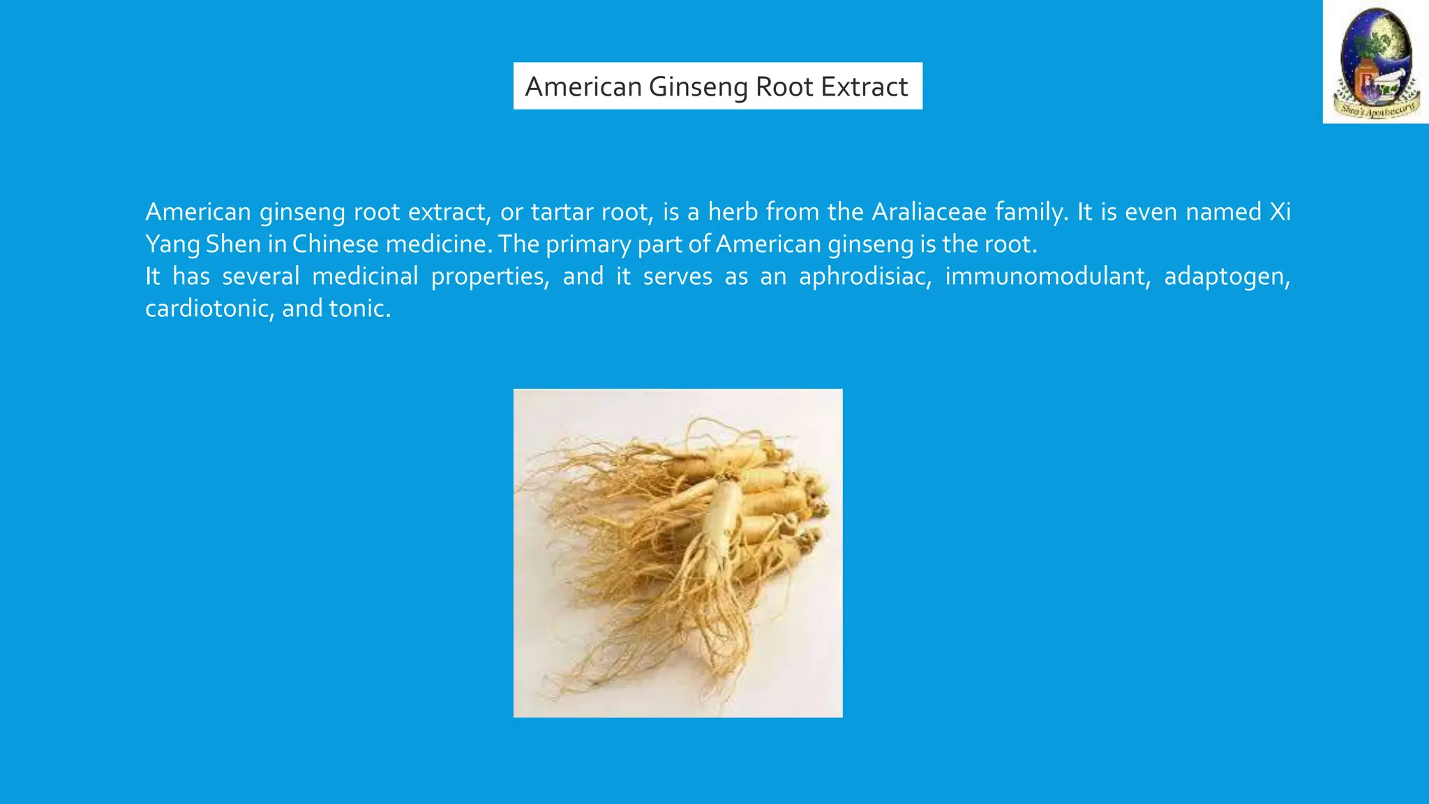 Top 5 Root Extracts The Key to Natural Wellness | PPT