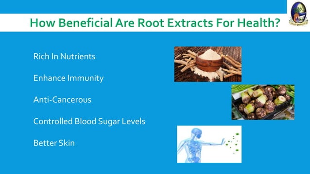 Top 5 Root Extracts The Key to Natural Wellness | PPT