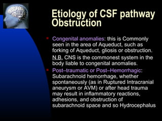 Top 5 symptoms and causes of hydrocephalus | PPT