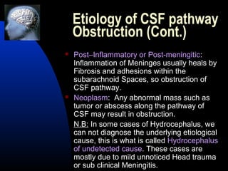 Top 5 symptoms and causes of hydrocephalus | PPT