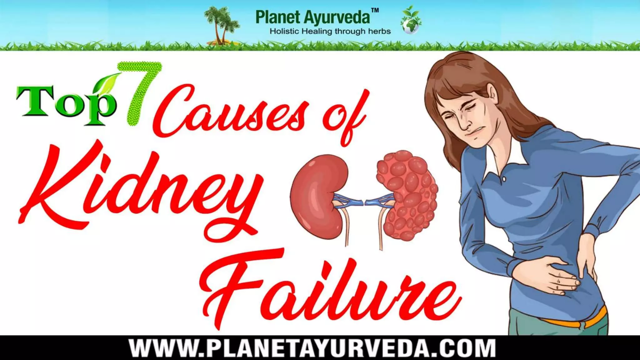 Top 7 Causes of Kidney Failure ( Renal Failure ) | PPT