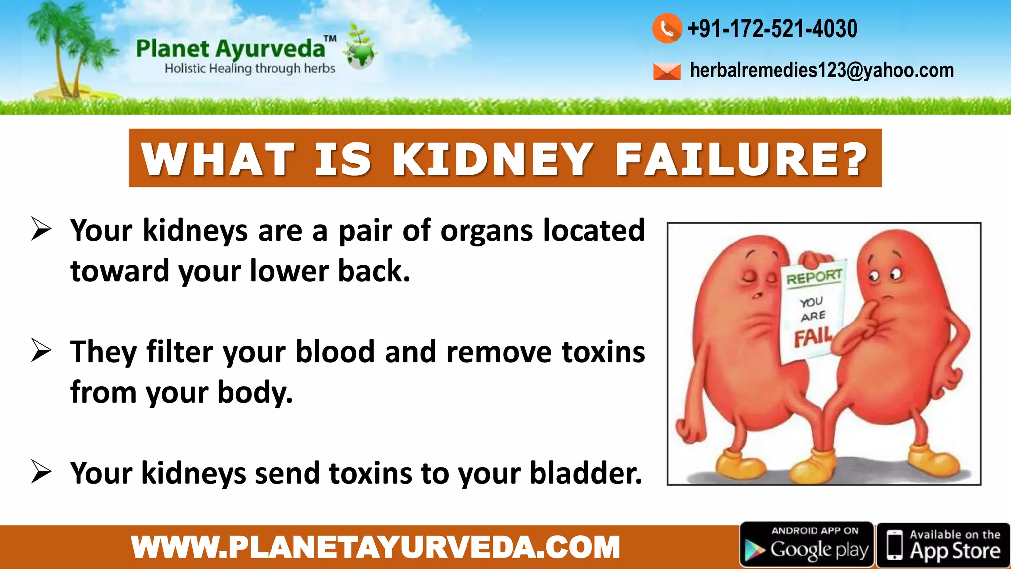 Top 7 Causes of Kidney Failure ( Renal Failure ) | PPT