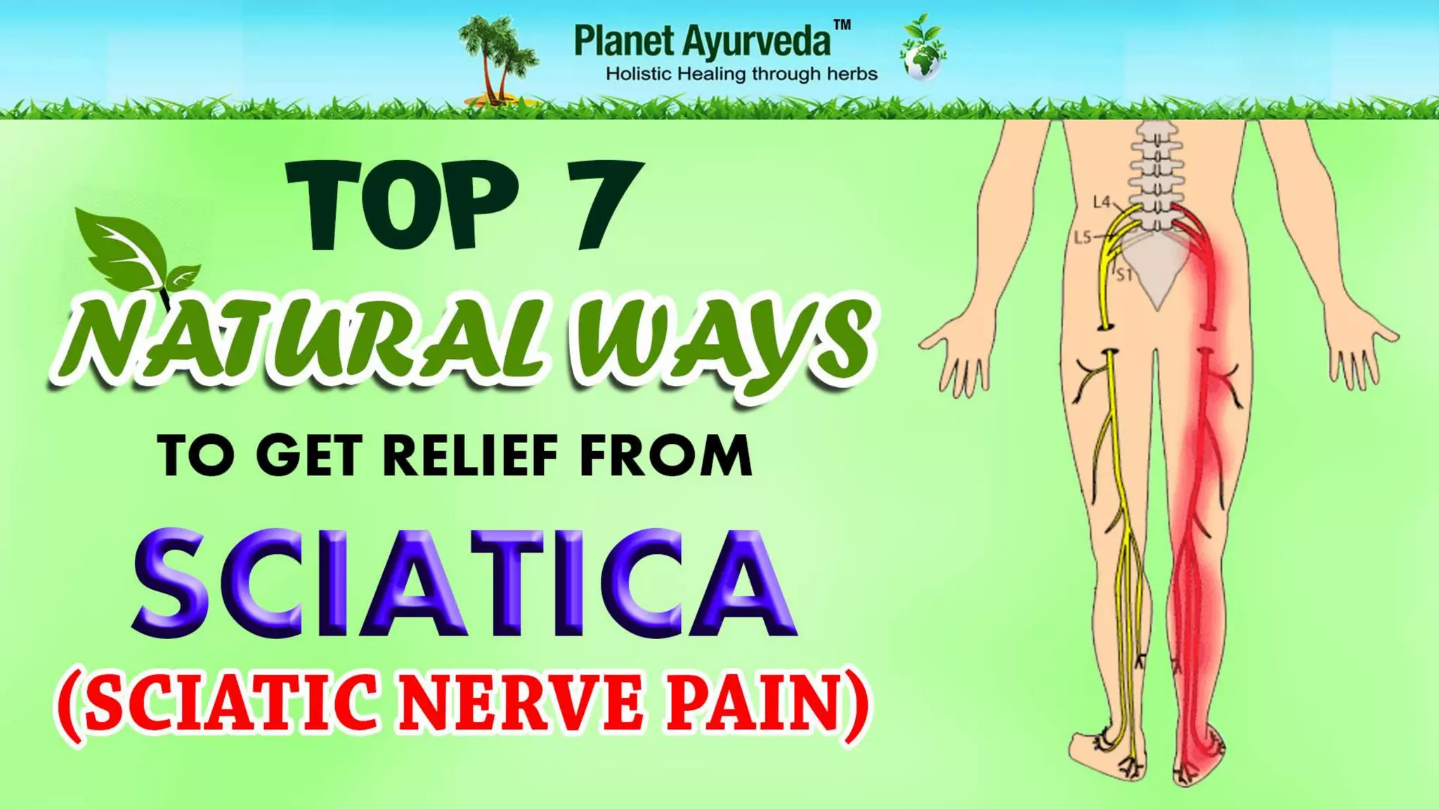 Top 7 Natural Ways to Get Relief from Sciatica (Sciatic Nerve Pain ...