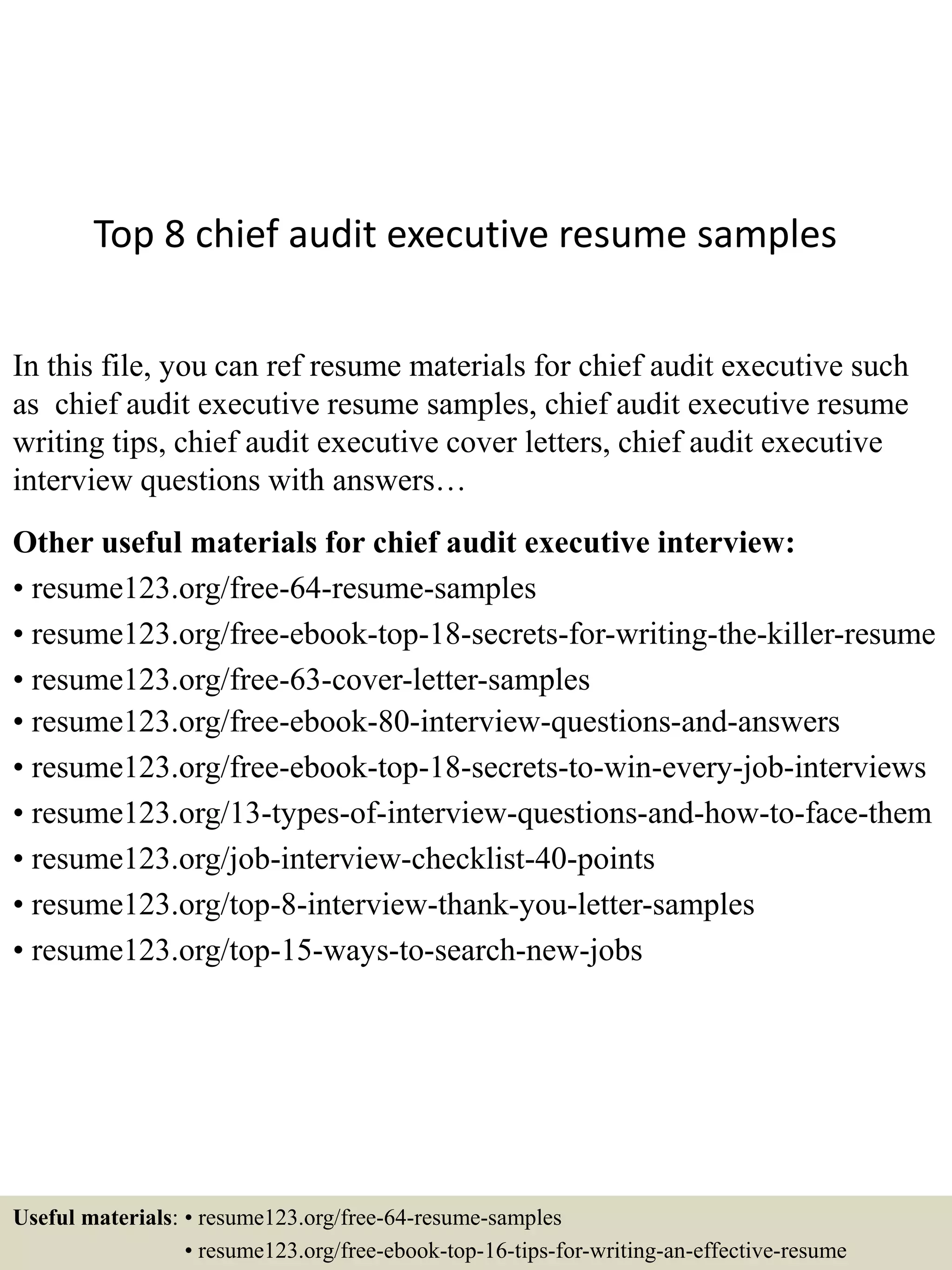Top 8 chief audit executive resume samples | PPTX