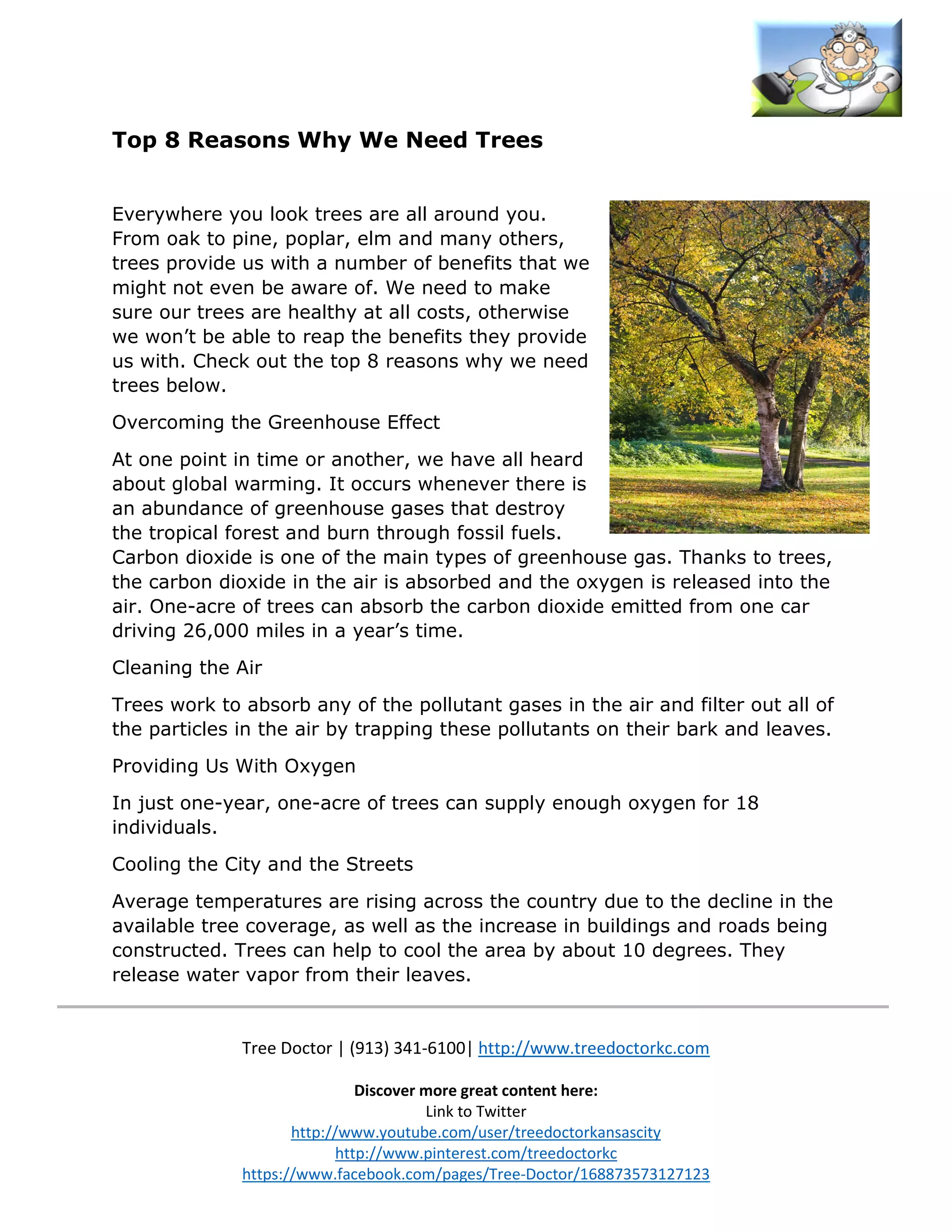 Top 8 Reasons Why We Need Trees | PDF | Free Download