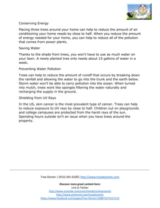 Top 8 Reasons Why We Need Trees | PDF