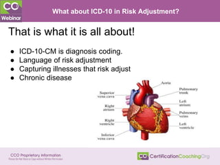 The Top 9 Questions Every Medical Coder Asks about Risk Adjustment and ...