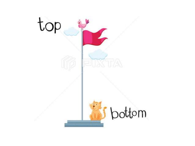 Top and bottom | PPTX