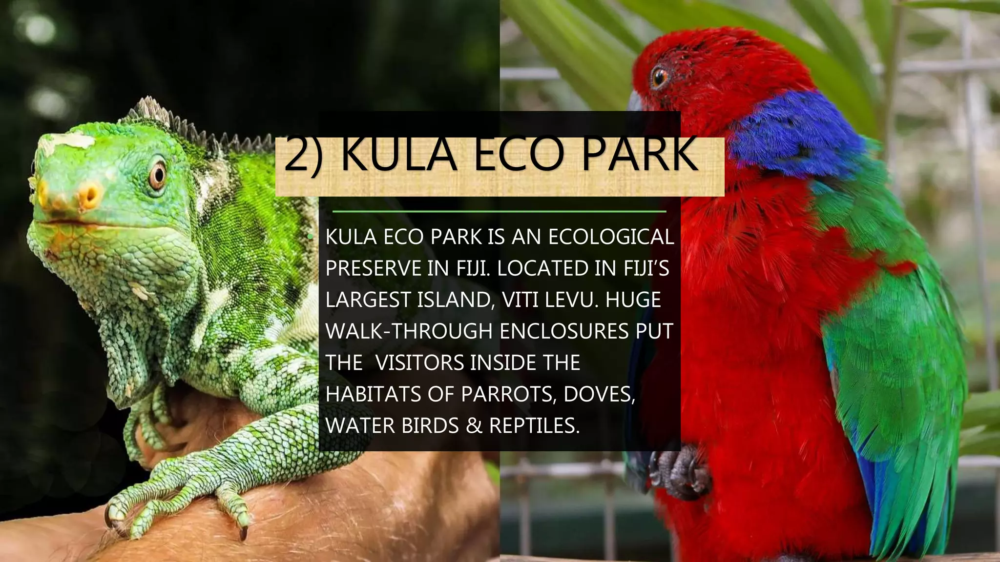 Top Attractions in Fiji | PPTX