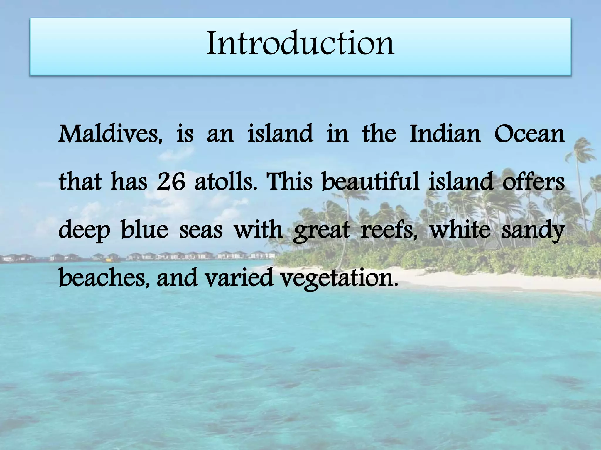 Top attractions in Maldives | PPTX