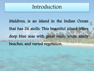 Top attractions in Maldives | PPTX