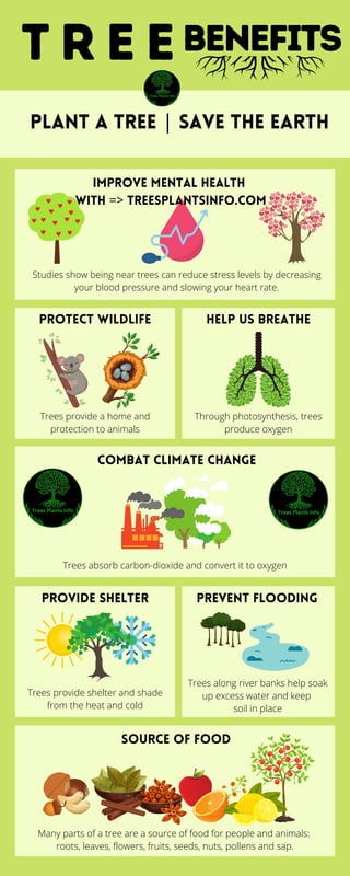 Top benefits of planting a tree in India 1.pdf
