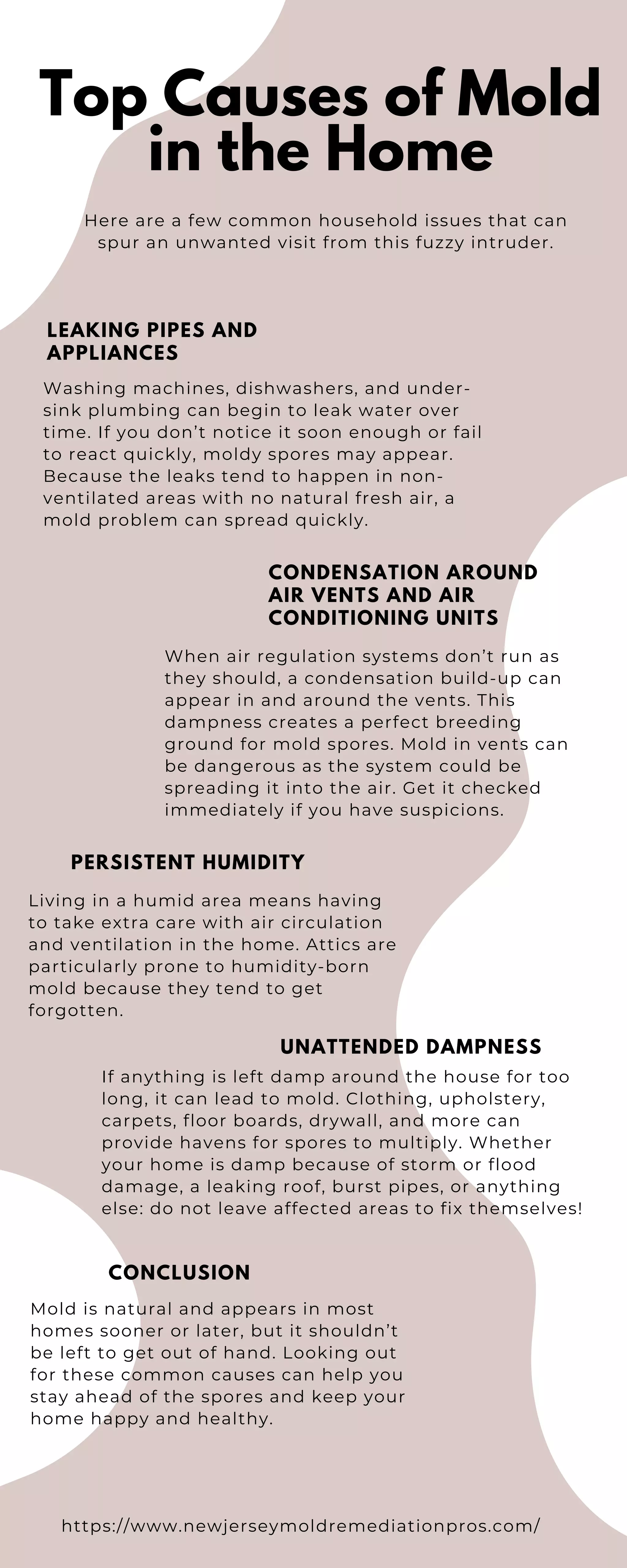 Top Causes of Mold in the Home.pdf