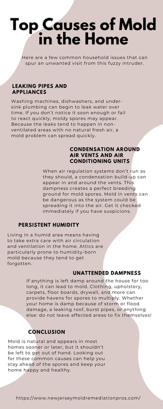 Top Causes of Mold in the Home.pdf