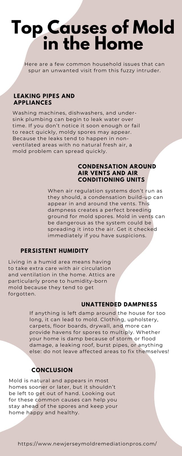 Top Causes of Mold in the Home.pdf