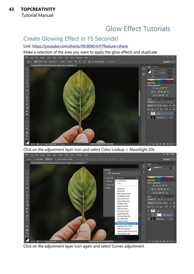 Photoshop Beginners Course | PDF
