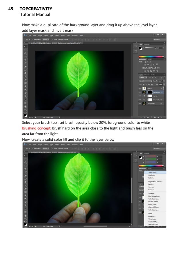 Photoshop Beginners Course | PDF