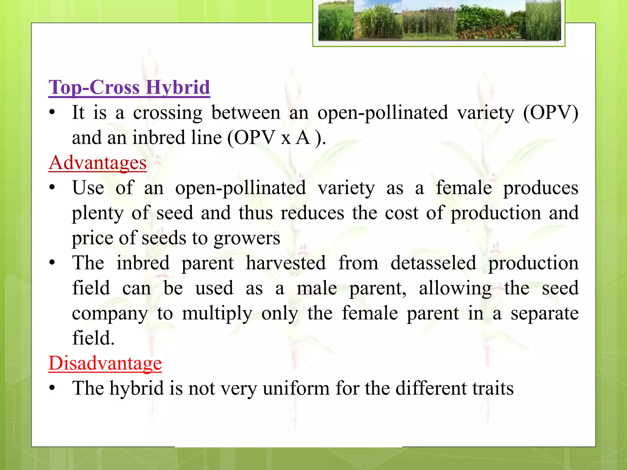 TOP CROSS MATING DESIGN.pptx