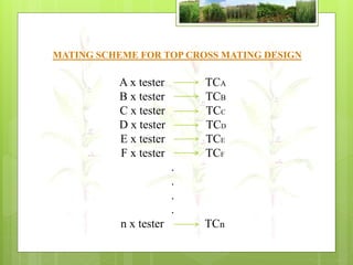 TOP CROSS MATING DESIGN.pptx