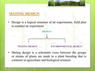 TOP CROSS MATING DESIGN.pptx