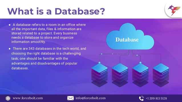 Top Database You Must Know For Software Development Projects | PPTX