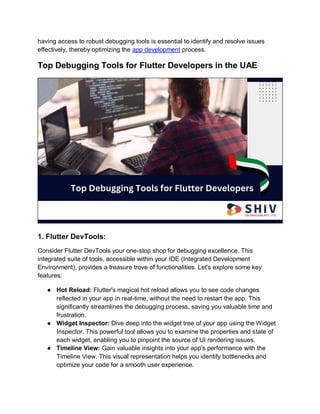 UAE Developer’s Guide to the Best Debugging Tools for Flutter | PDF