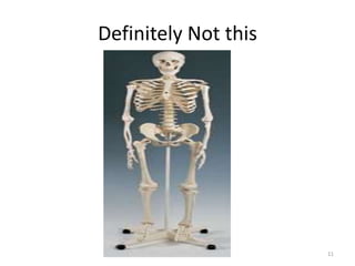 Top down assembly | PPTX