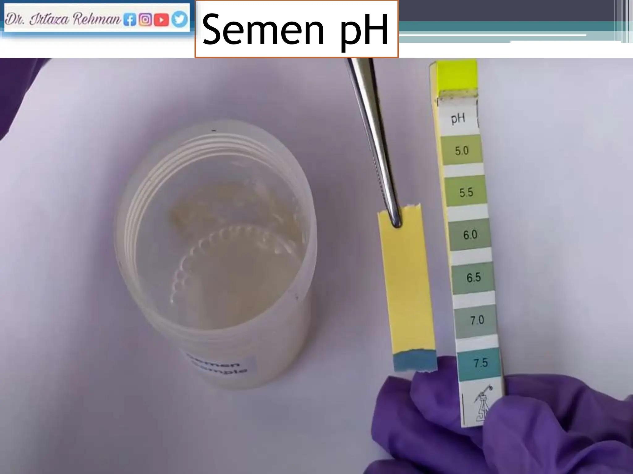 To perform a Semen analysis on a sample.pptx
