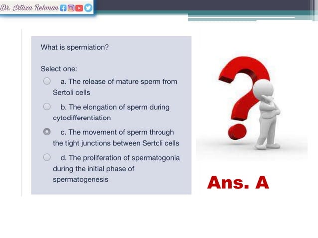 To Perform A Semen Analysis On A Sample Pptx Infertility