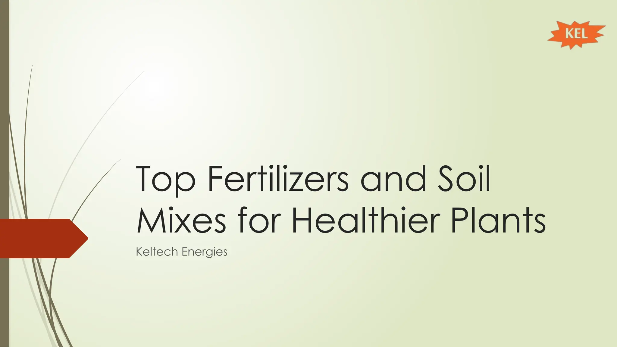 Top Fertilizers and Soil Mixes for Healthier Plants.pptx