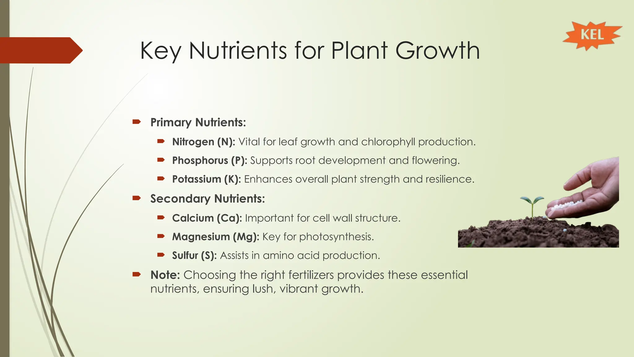 Top Fertilizers and Soil Mixes for Healthier Plants.pptx