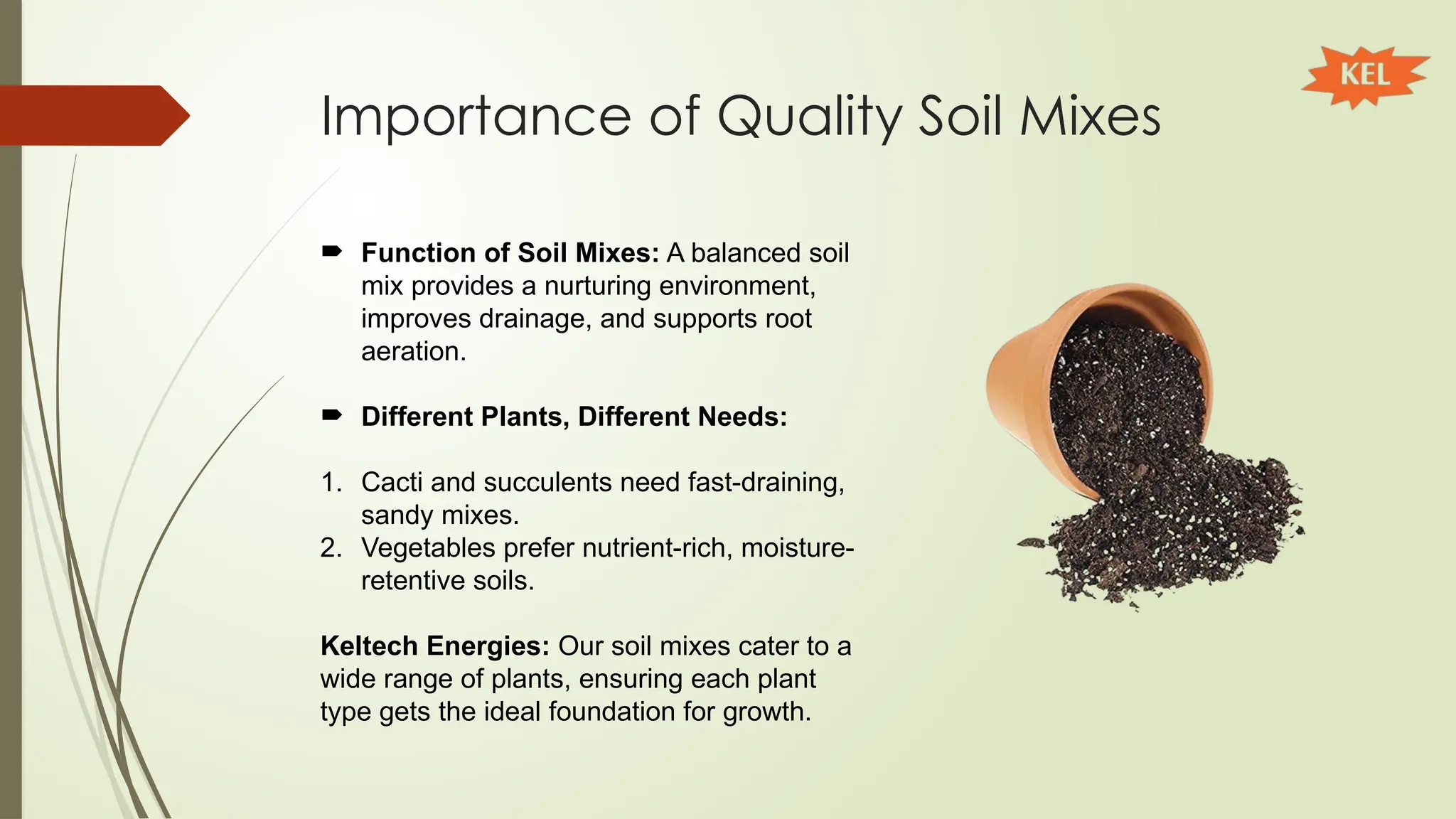 Top Fertilizers and Soil Mixes for Healthier Plants.pptx