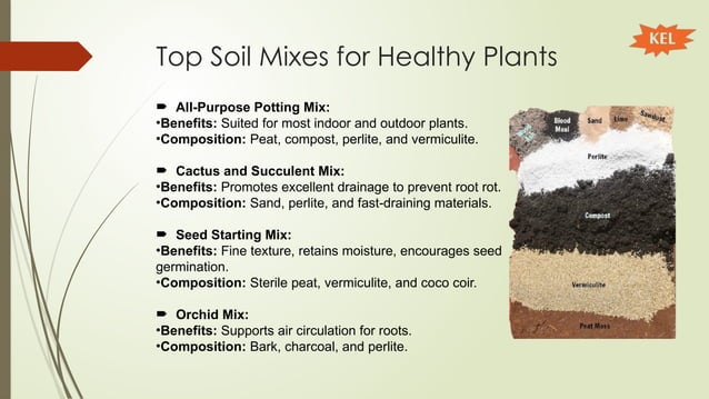Top Fertilizers and Soil Mixes for Healthier Plants.pptx