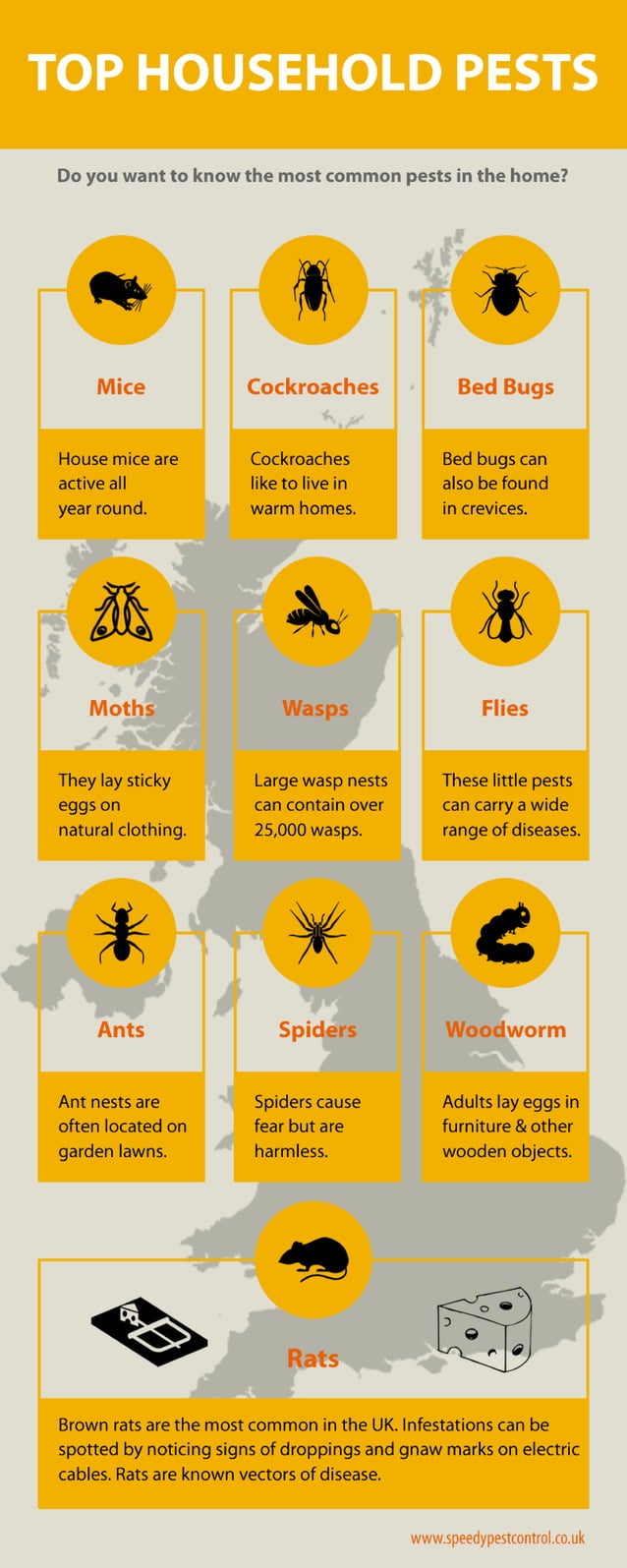 Top 10 household pests | PDF