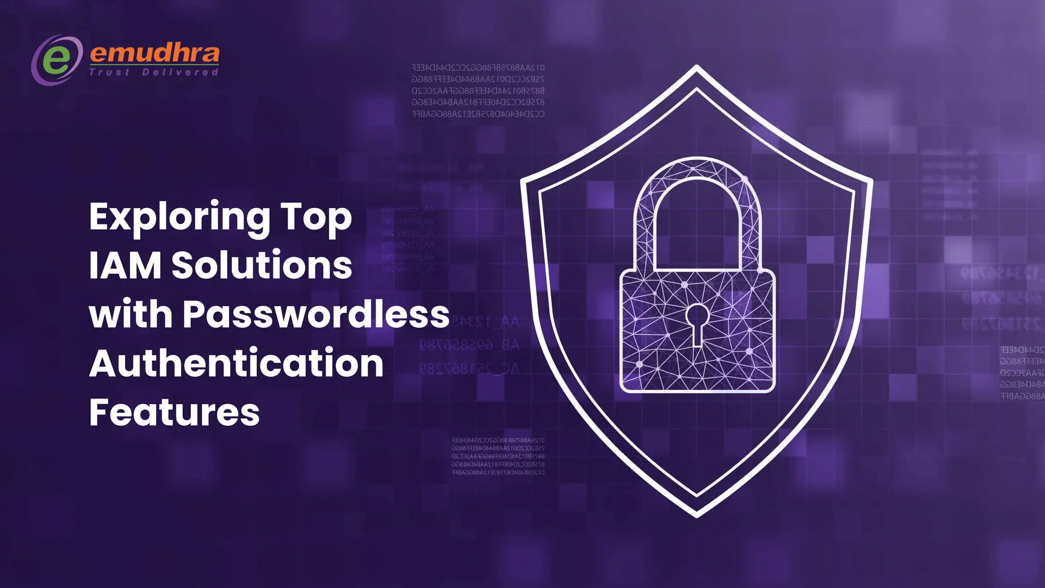 Exploring Top IAM Solutions with Passwordless Authentication Features | PDF
