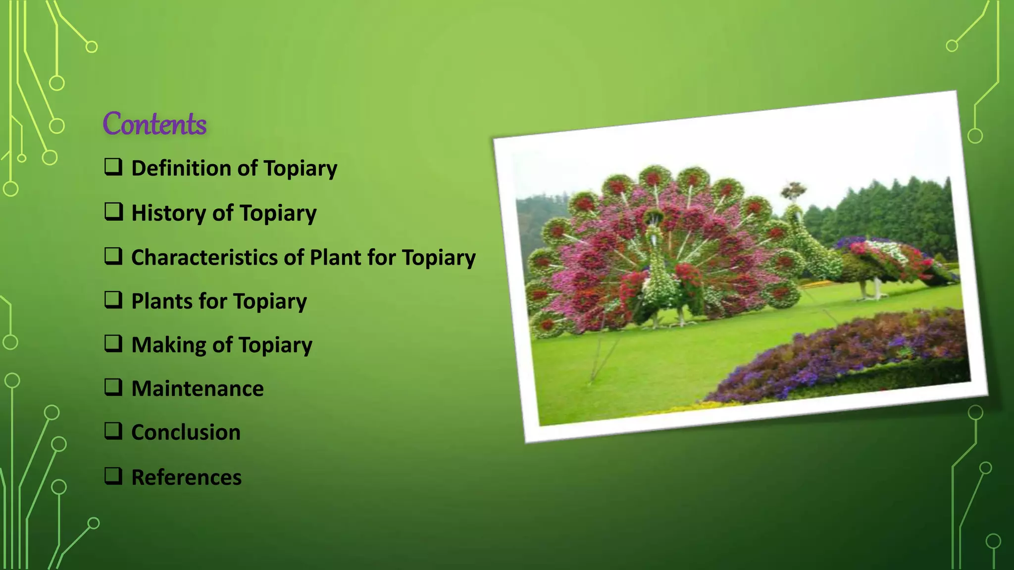 Topiary | PPTX