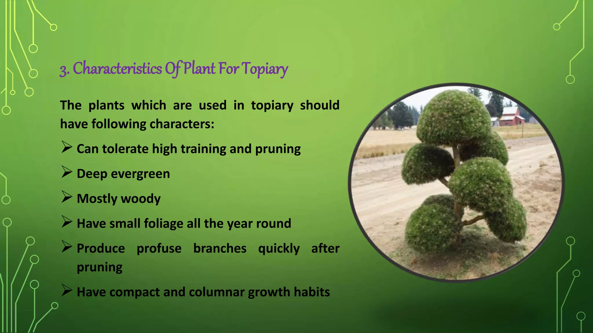 Topiary | PPTX