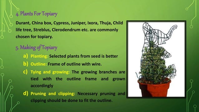 Topiary | PPTX