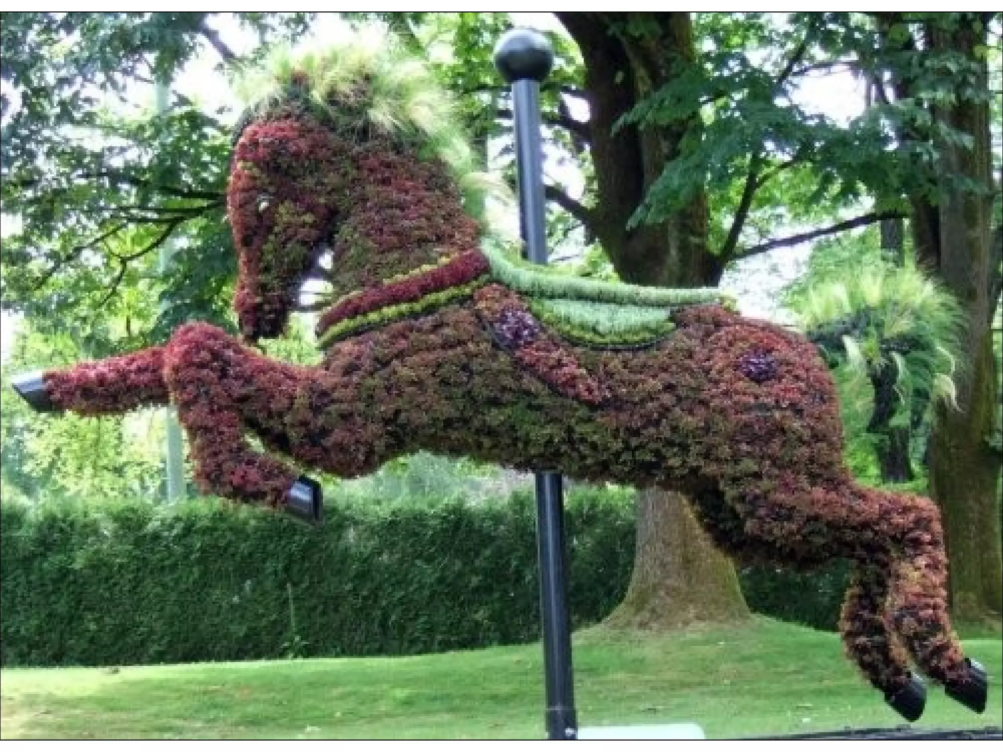 Topiary Art | PPT