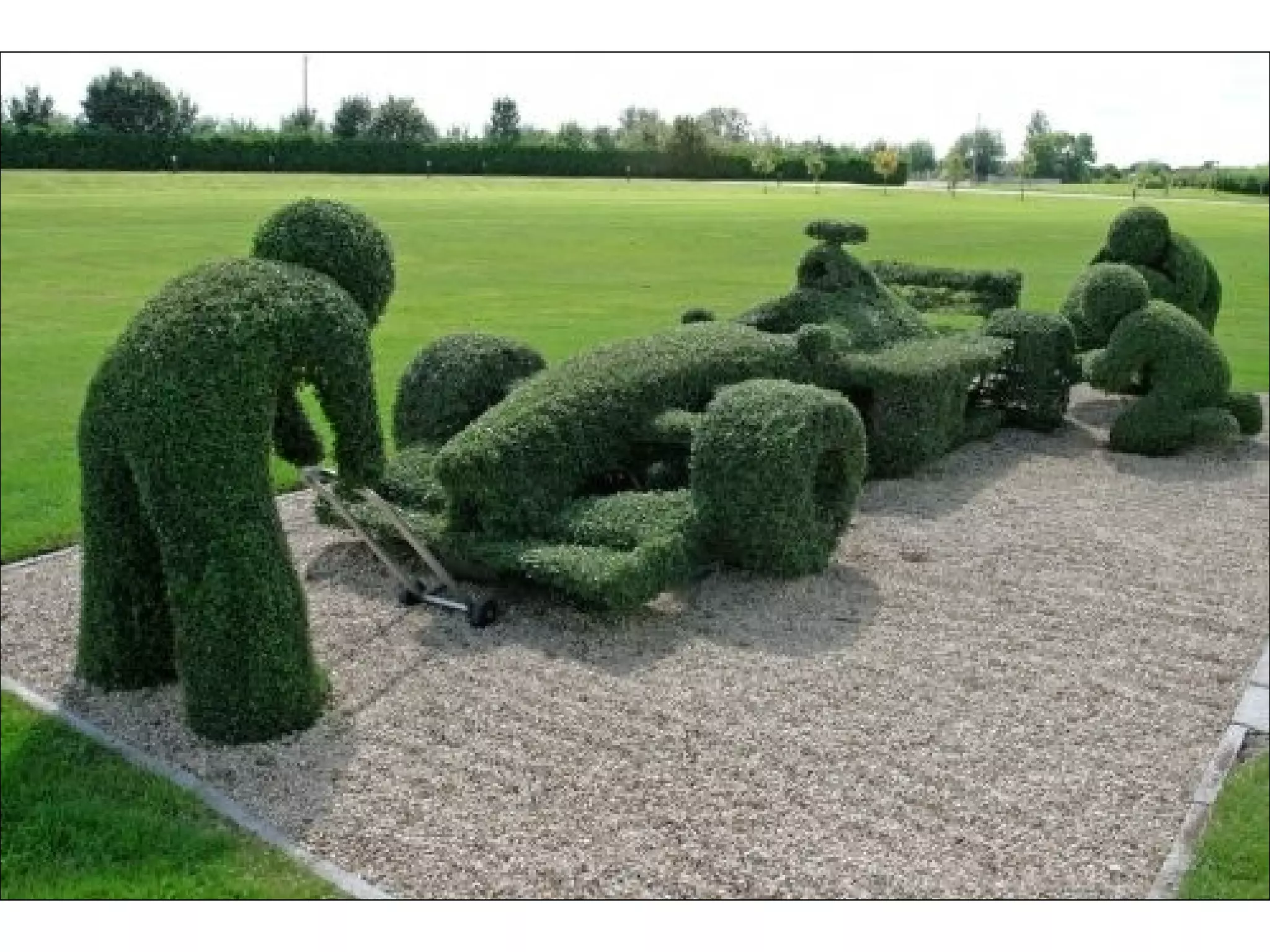 Topiary Art | PPT