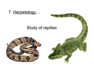 Topic 1 - What is Biology? | PPT