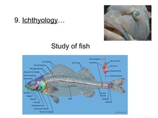 Topic 1 - What is Biology? | PPT