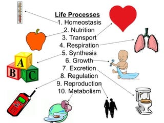 Topic 1 - What is Biology? | PPT