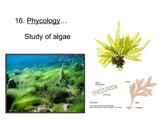 Topic 1 - What is Biology? | PPT